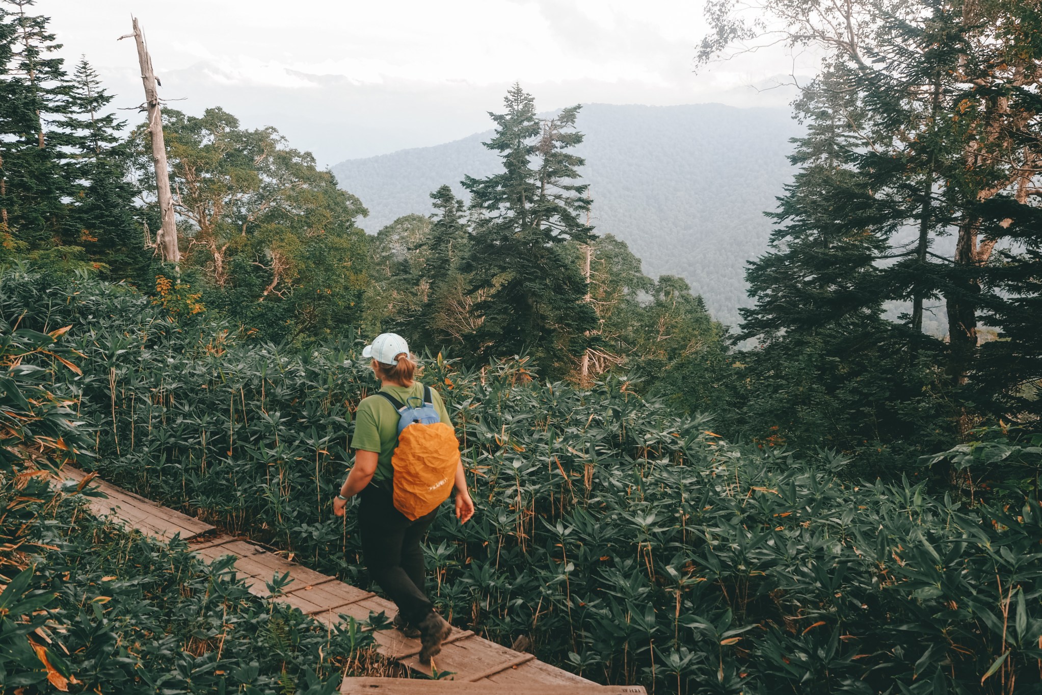 Hiking Mt. Shibutsu 至仏山 in Oze National Park 尾瀬 – Globetrotting Peanuts